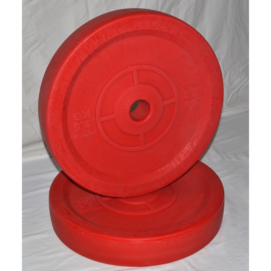 Werksan 2 5 Kg Developmental Bumper Plates